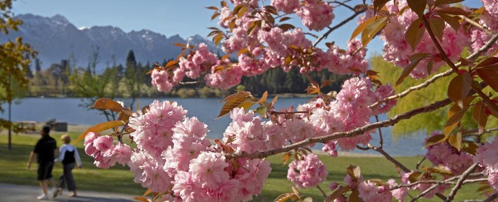5 Reasons To Spend Spring In Queenstown | Staysouth Apartment ...